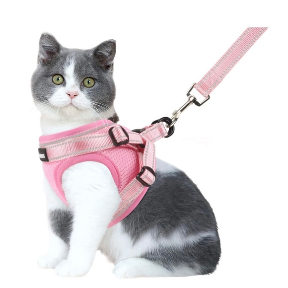 Kamots Beauty | Cat | Nipkamots Beauty Cat Harness Leash Set Pink ...